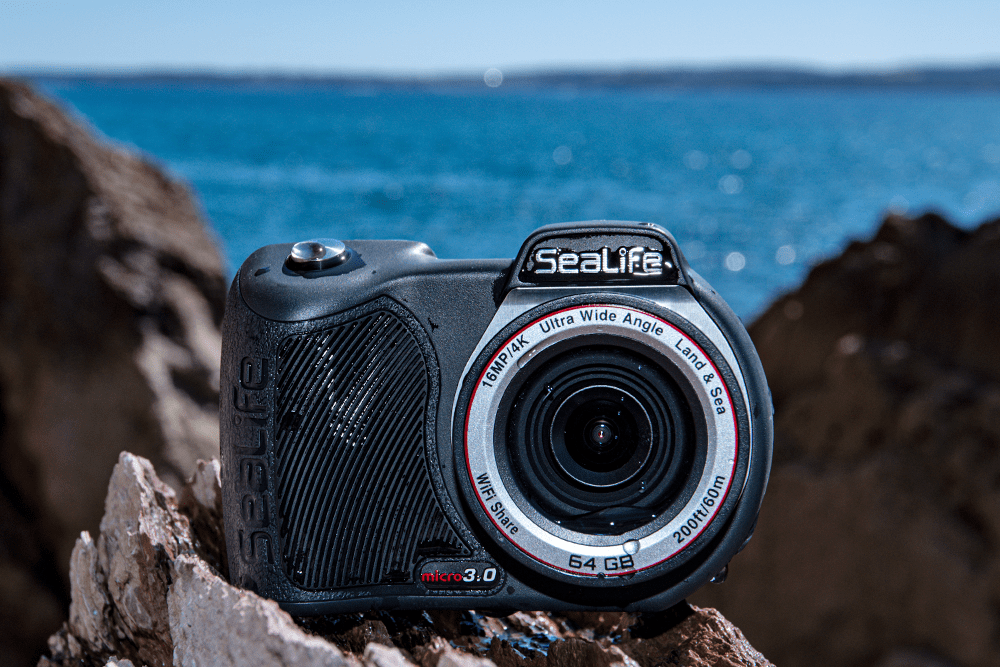 The Best Underwater Camera For New Underwater Photographers