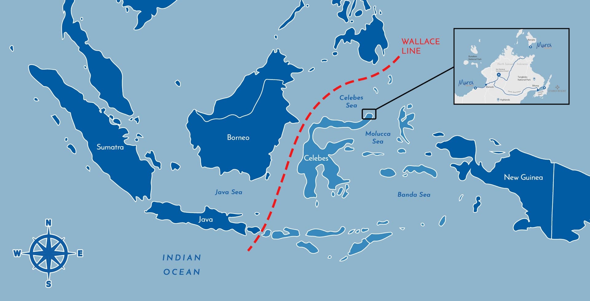 What is the Wallace Line in Indonesia? - Lembeh Resort & Spa